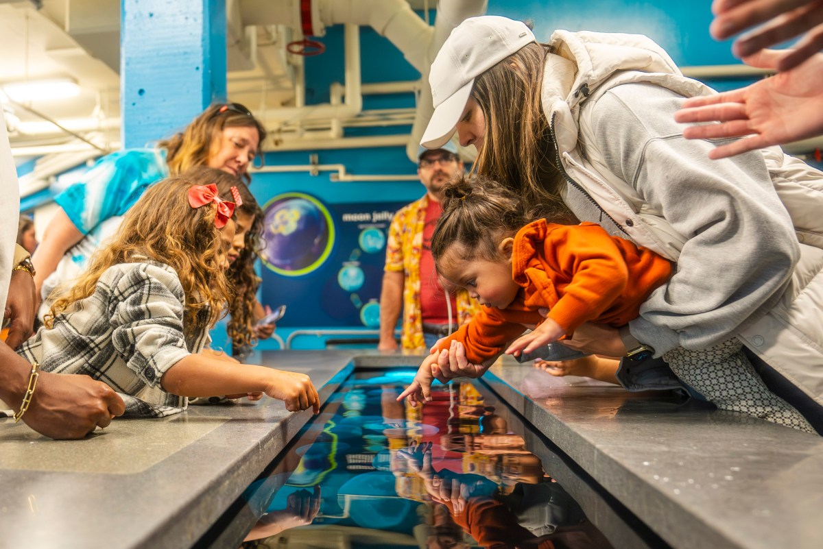 SeaWorld San Diego’s Inside Look Event is Back Starting January 13th ...